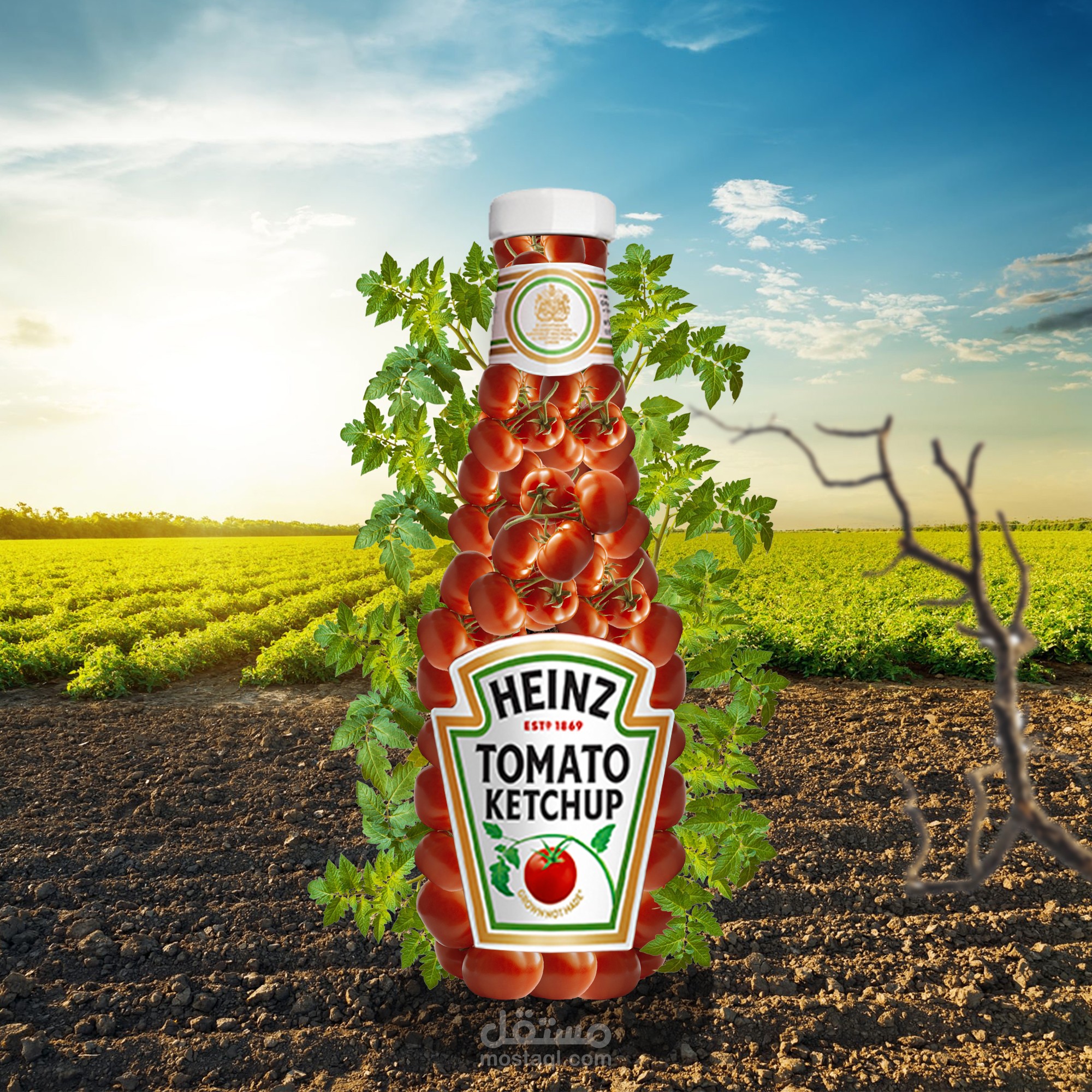 جرافيك | مستقل