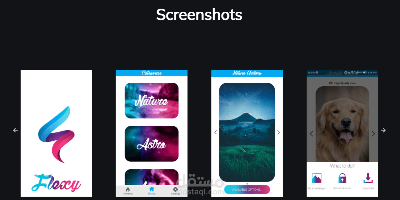 Dot Development Official Website | مستقل