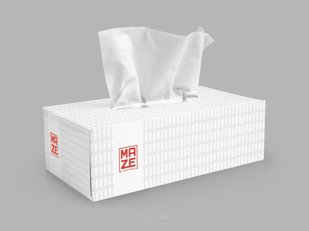 Visual Identity | MAZE | مستقل