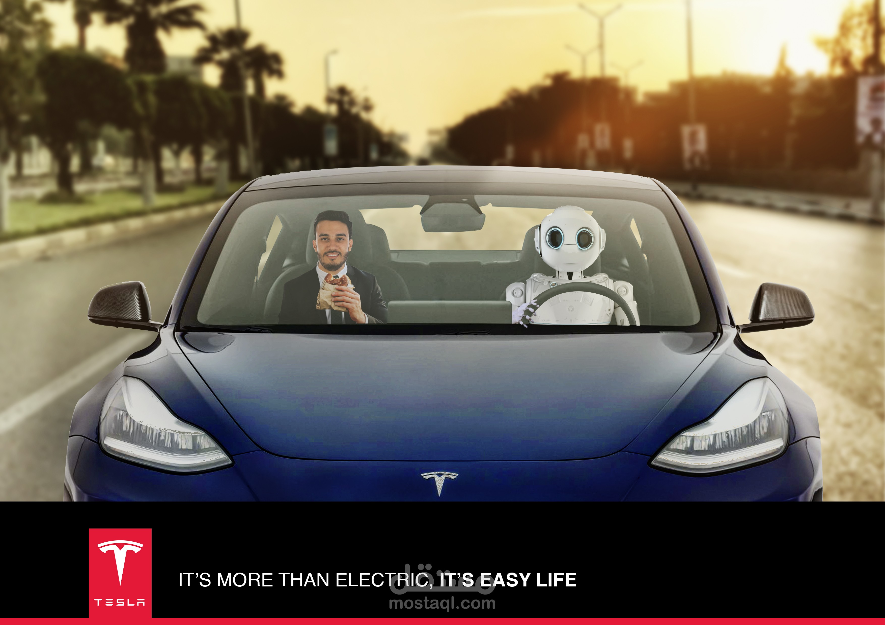 Tesla - Advertising Campaign | مستقل