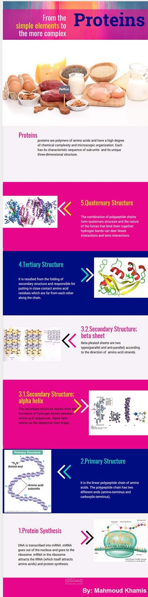 Proteins | مستقل