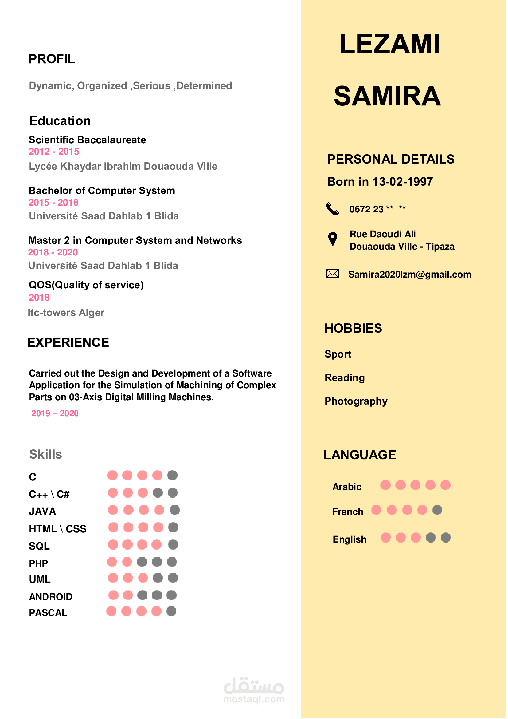 curriculum vitae سيرة الداتية Resume | مستقل