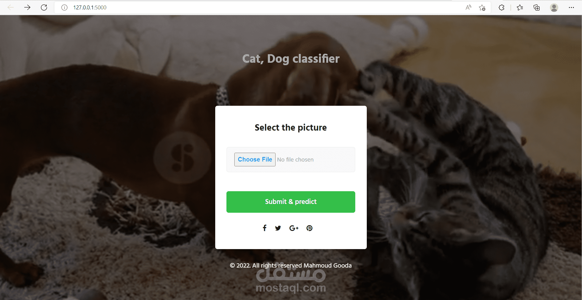 Create-CNN-Cat-Dog-Classifier-And-Deploy-Using-Flask | مستقل