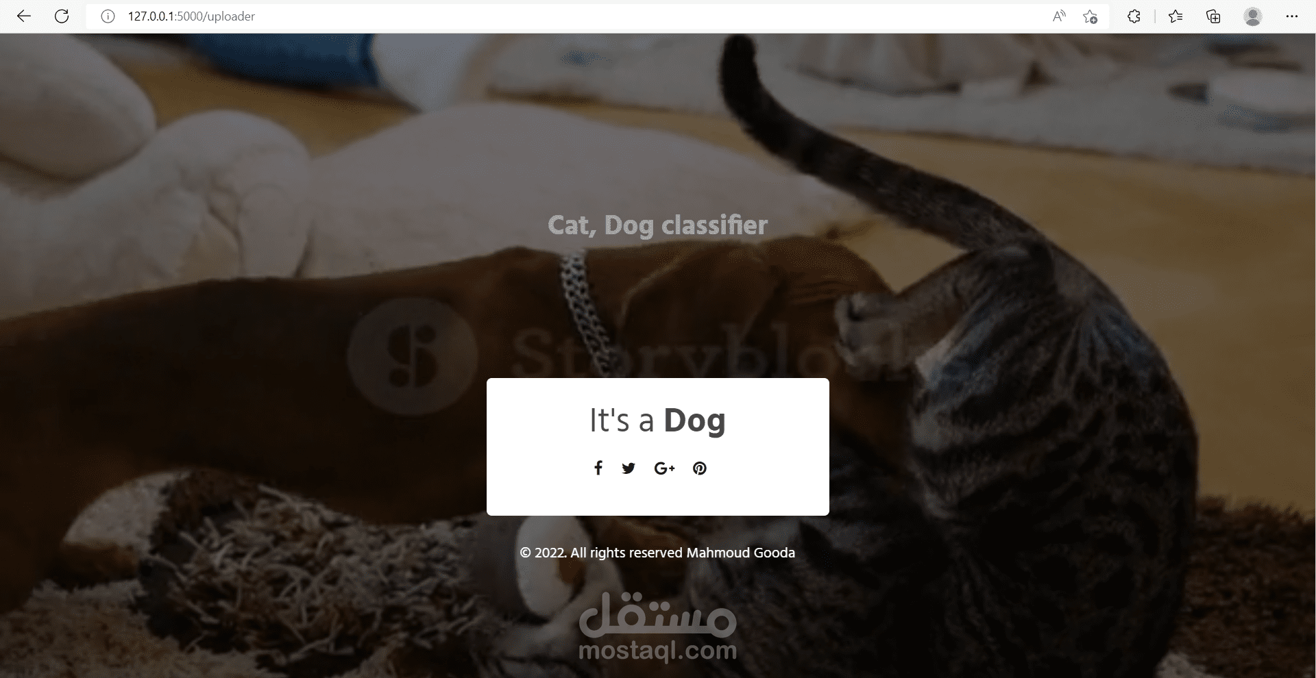 Create-CNN-Cat-Dog-Classifier-And-Deploy-Using-Flask | مستقل