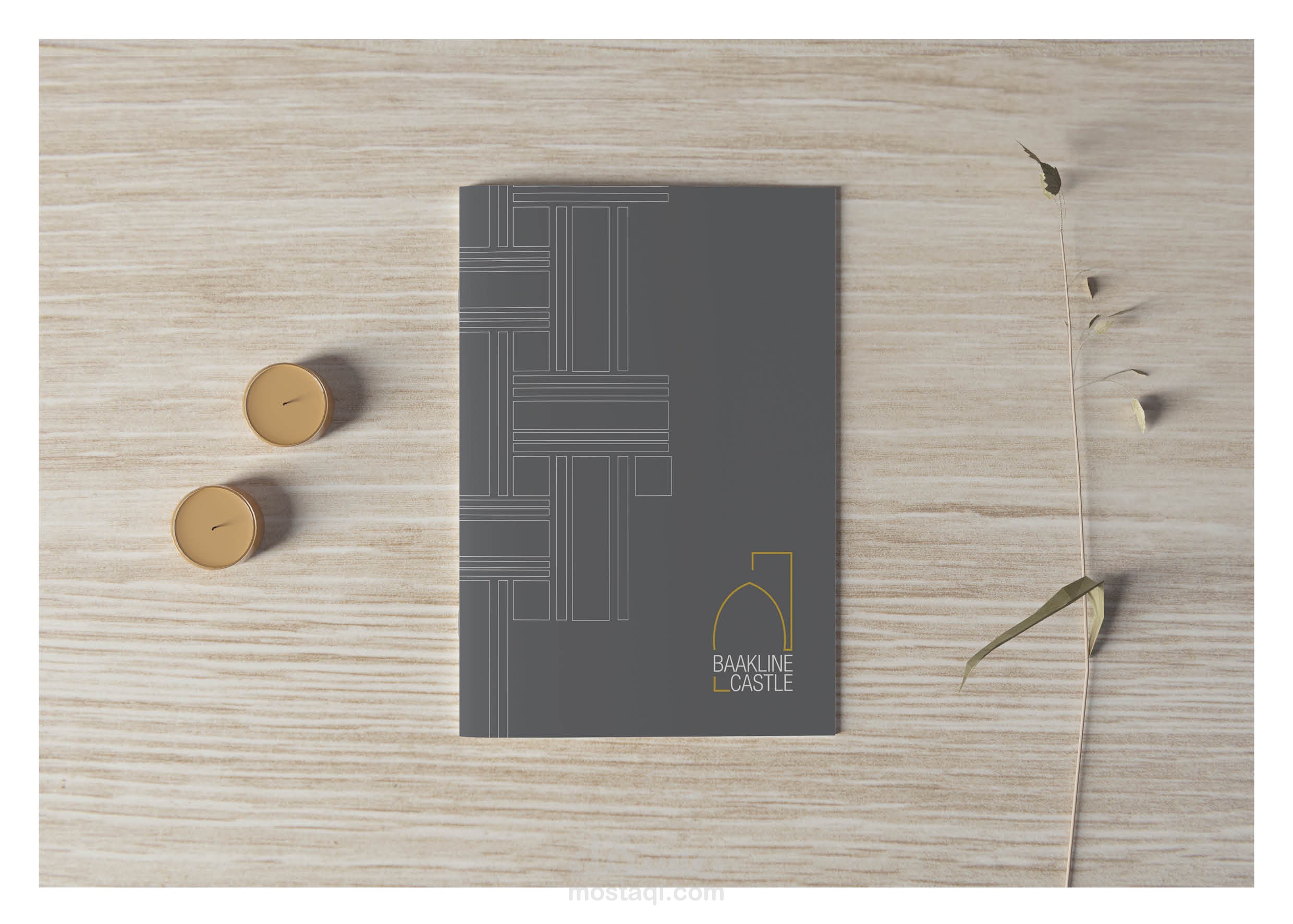 BROCHURES, FLYERS, BOOKLETS / كتيبات ونشرات | مستقل