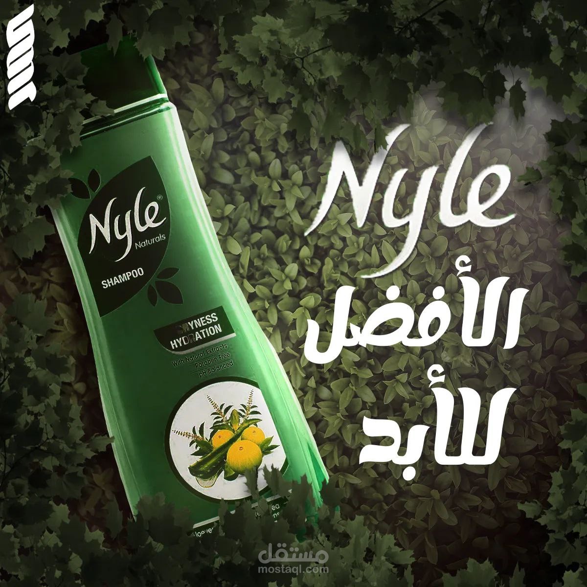 تصاميم مستقل