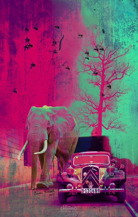 Animalization | مستقل