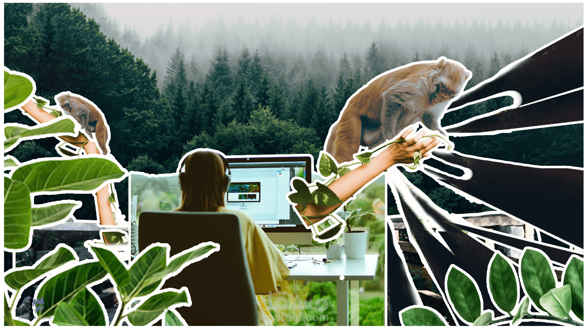 تصاميم سوشيال ميديا - Photo Manipulation | مستقل