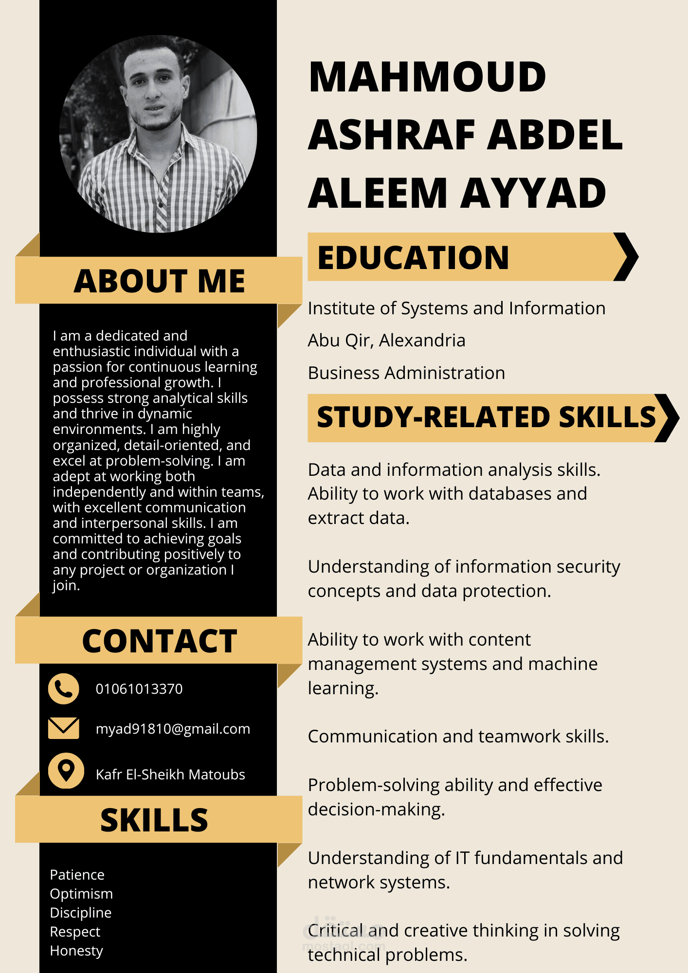 Designing a resume in English | مستقل