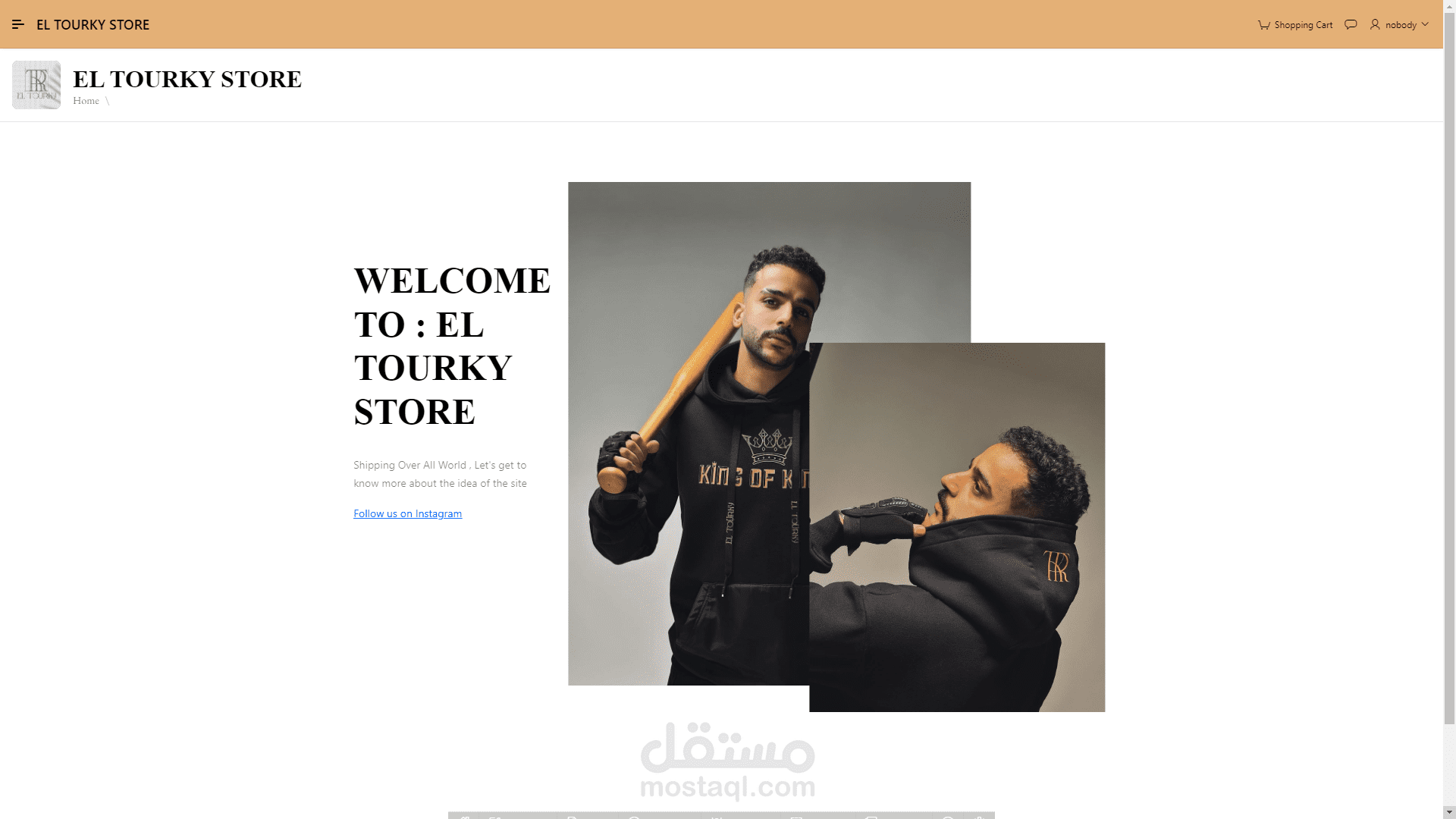 ELTORKY ONLINE STORE | مستقل