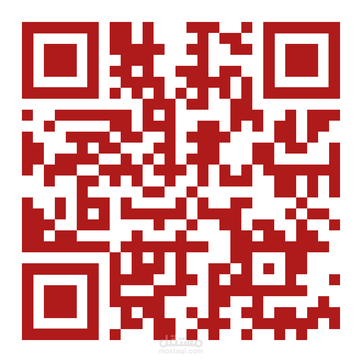 I will set up for you qr code professional | مستقل