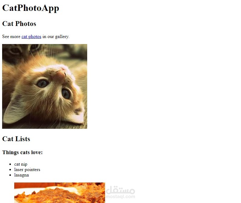 cat photo app | مستقل