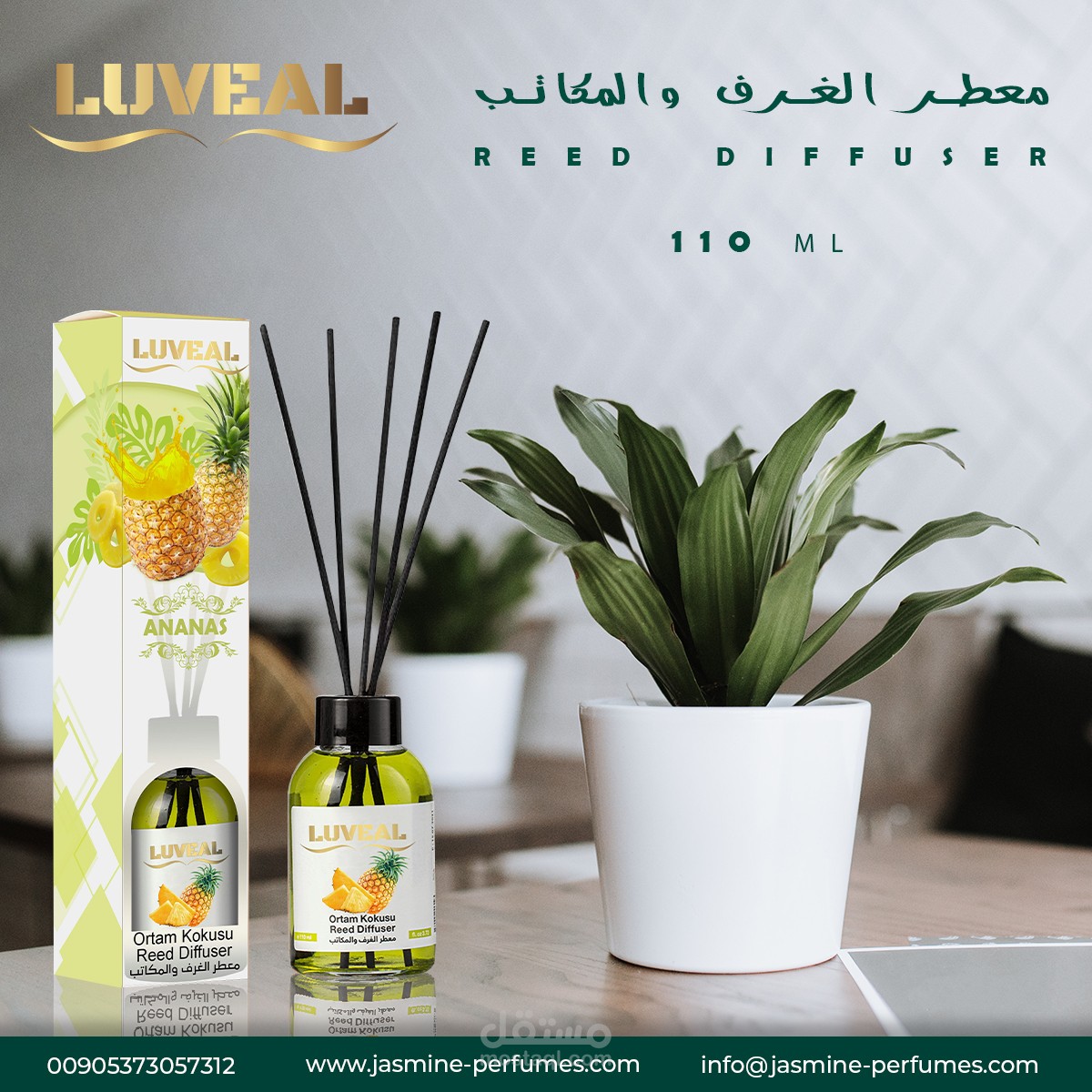 Posters | مستقل