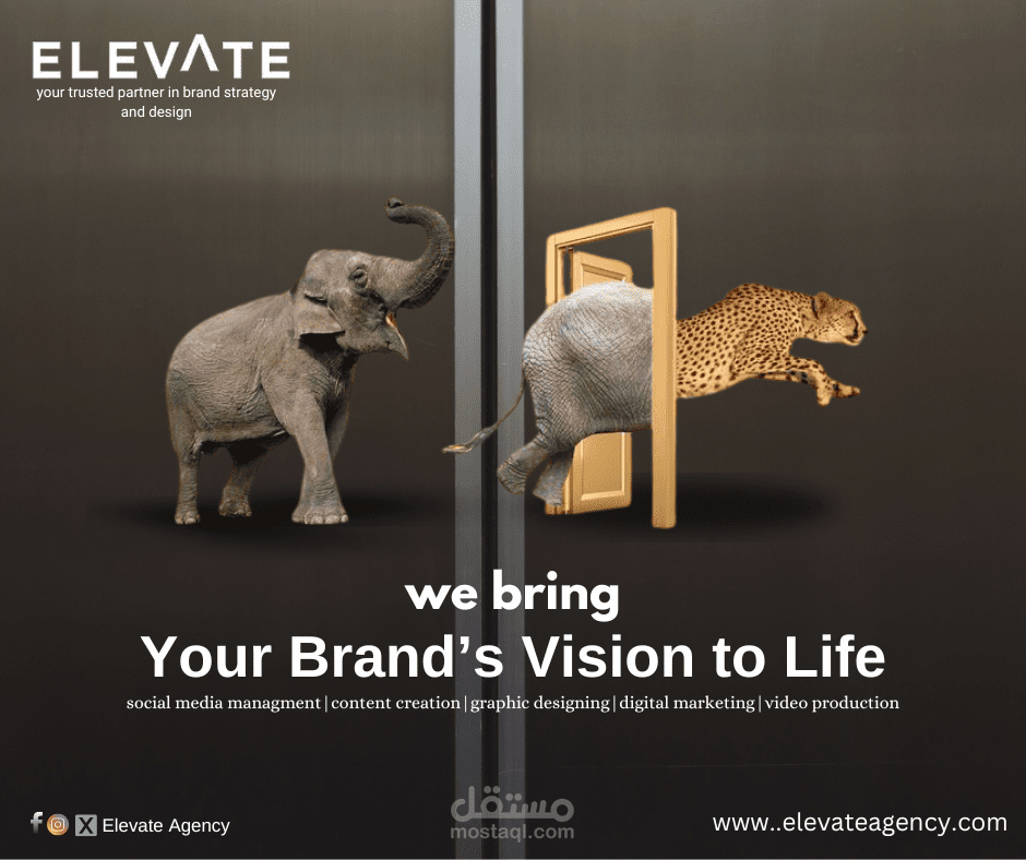 Elevate company | مستقل