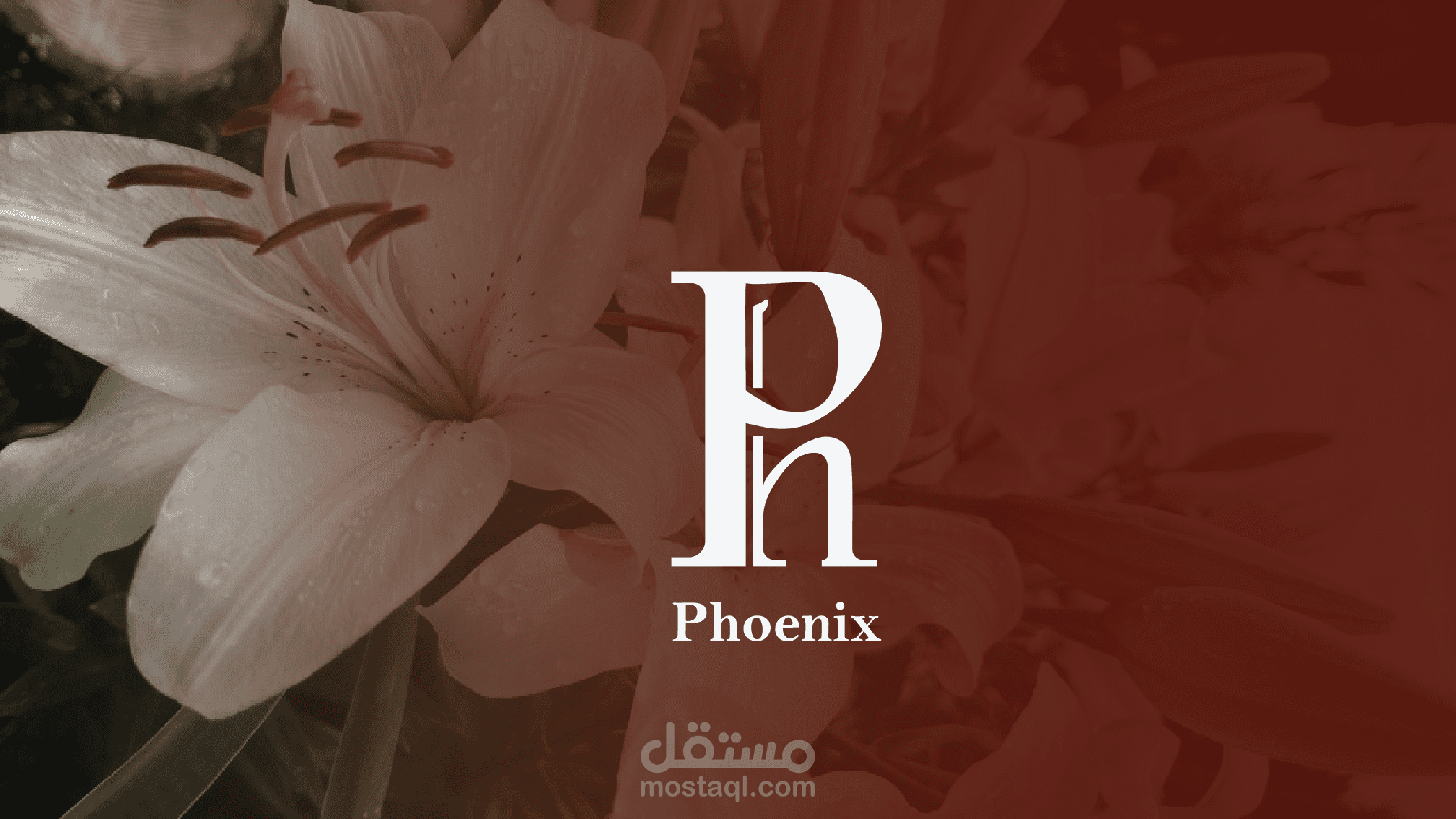 Phoenix | مستقل