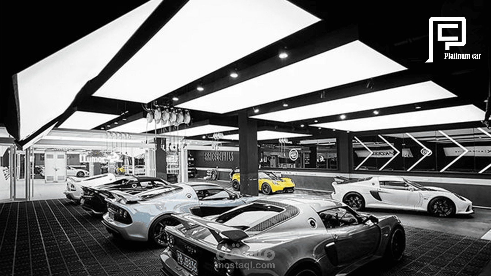 car agency | مستقل