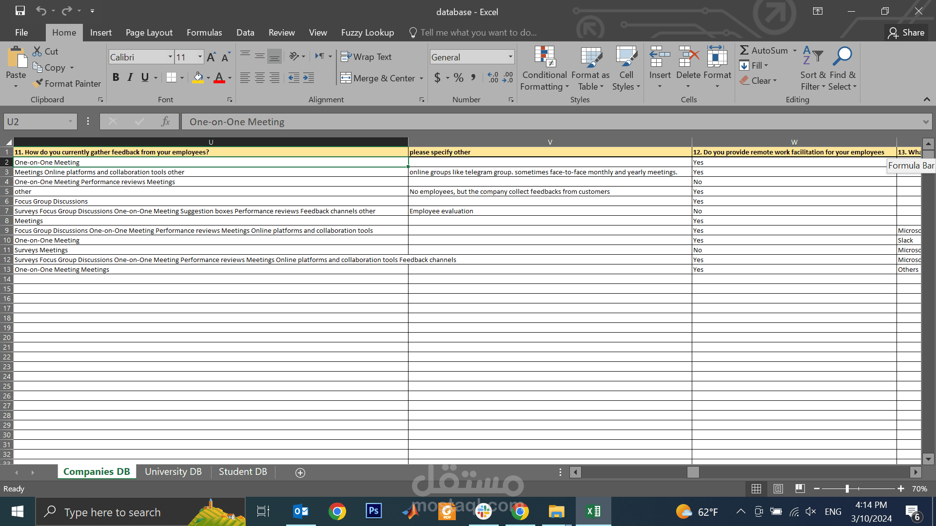 excel database design | مستقل