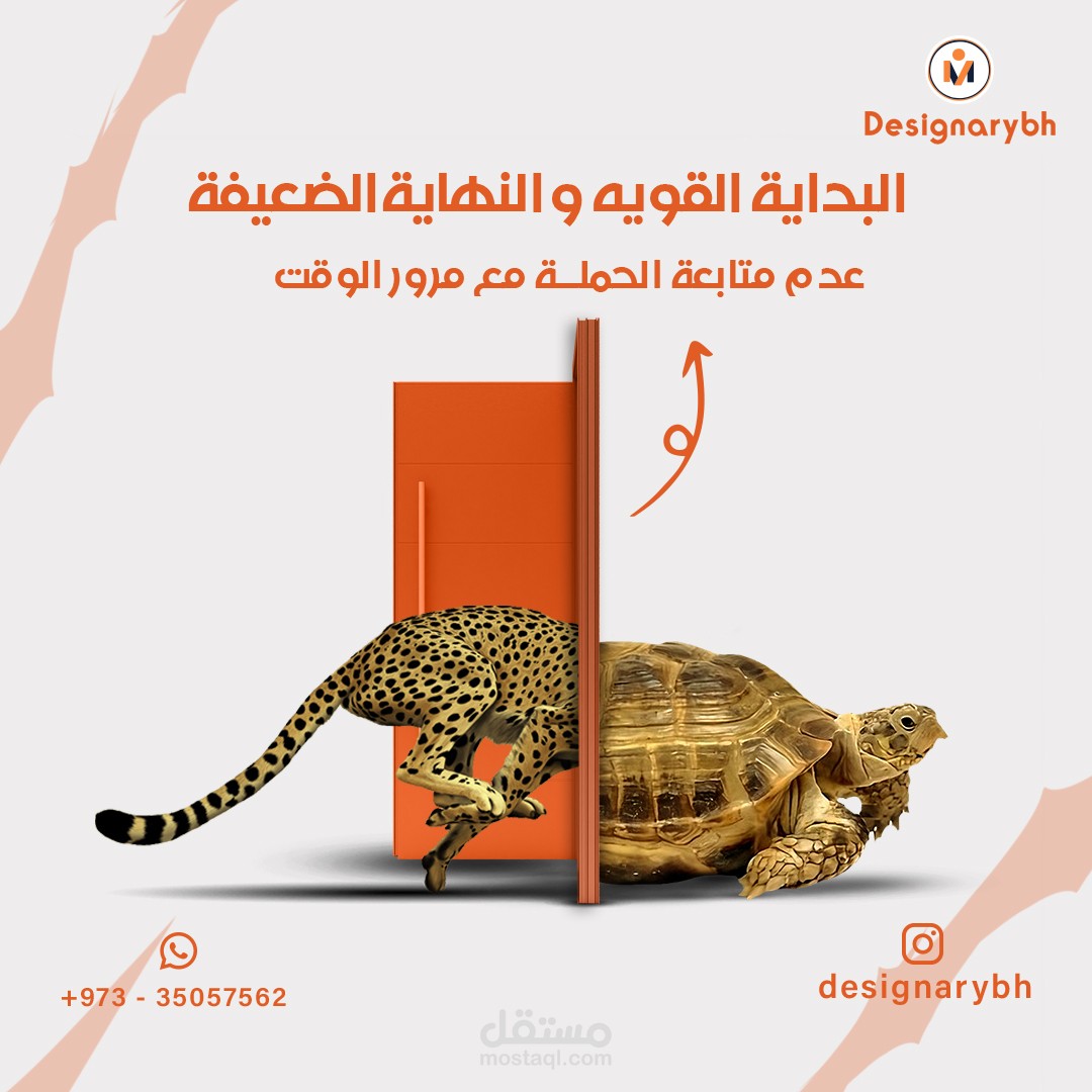 تصميمات سوشيال ميديا بالتعاون مع Designary | مستقل