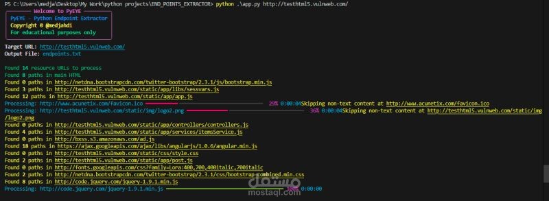 PyEYE - an open-source Python endpoint extraction tool! | مستقل