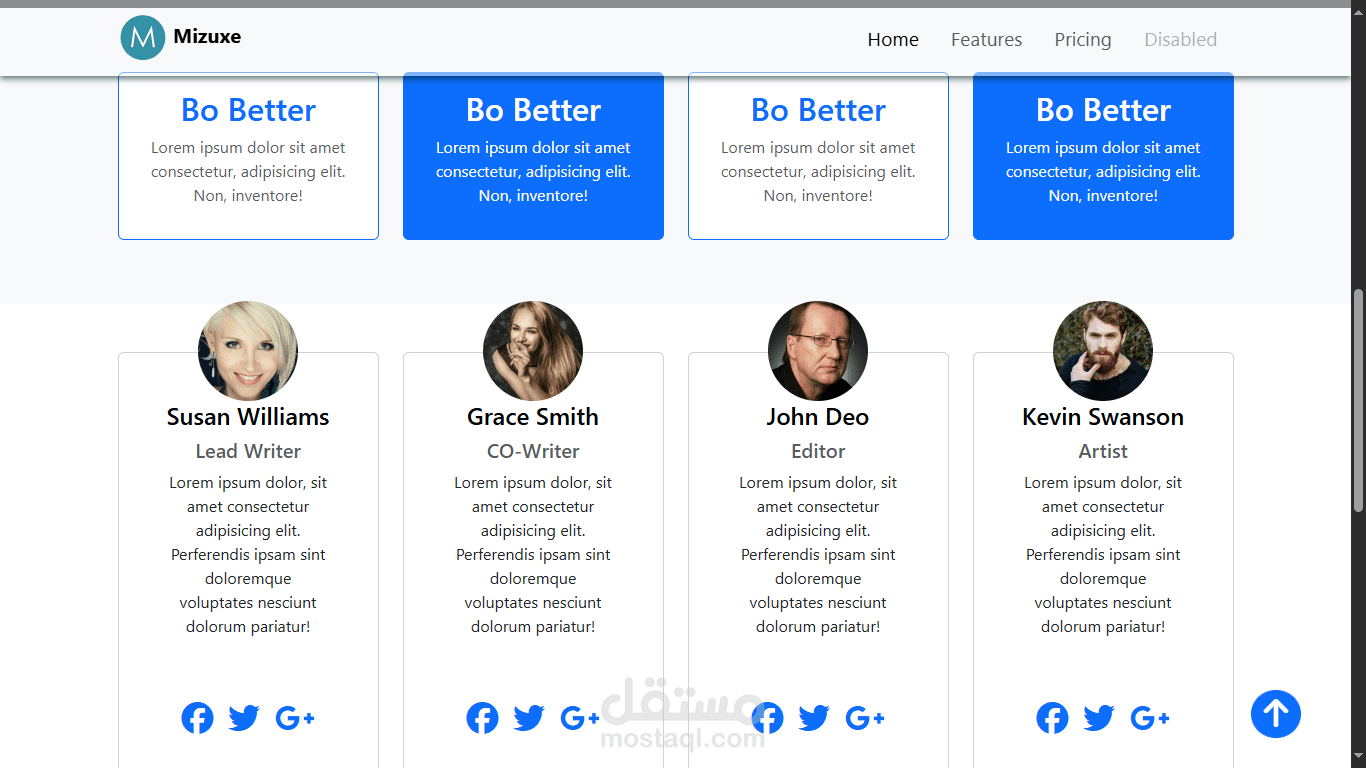 Mizuxe Website | مستقل