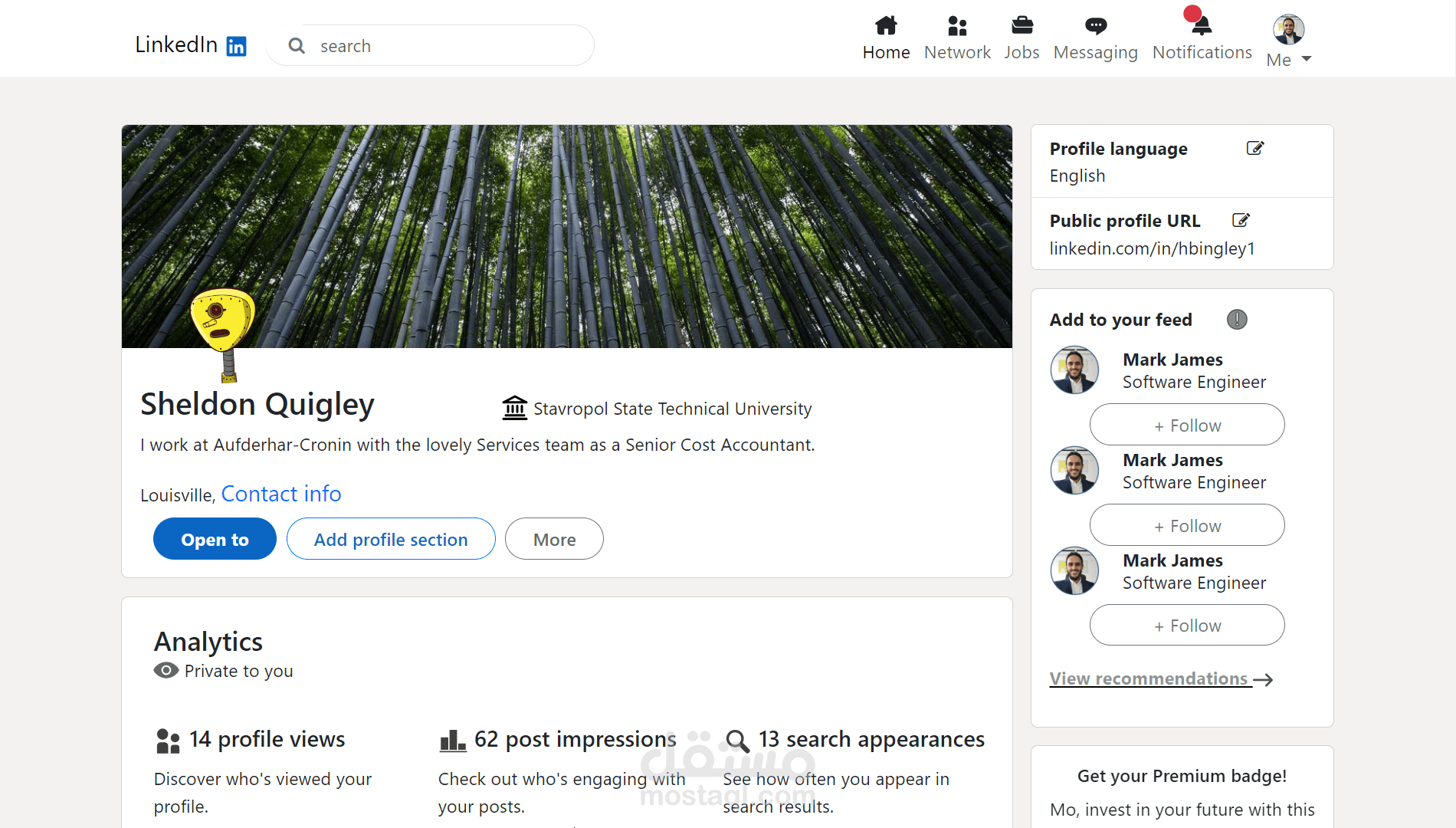 LinkedIn Clone | مستقل