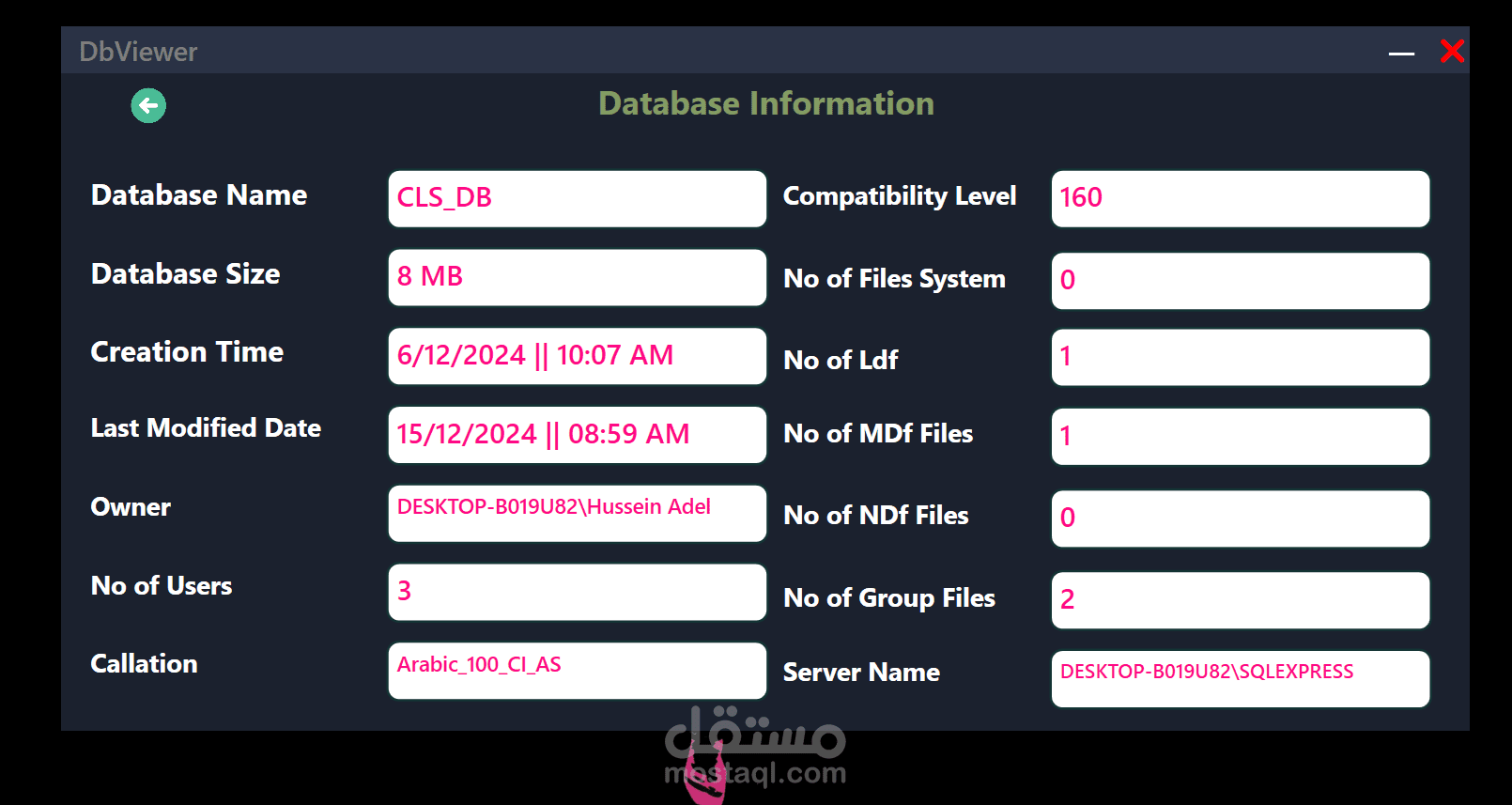 (Desktop Application)Database Viewer | مستقل