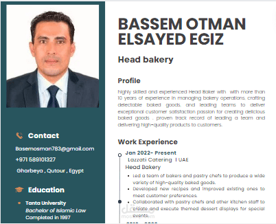 سيرة ذاتية احترافية (شيف) | مستقل