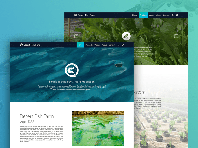 Desert Fish Farm Co | مستقل