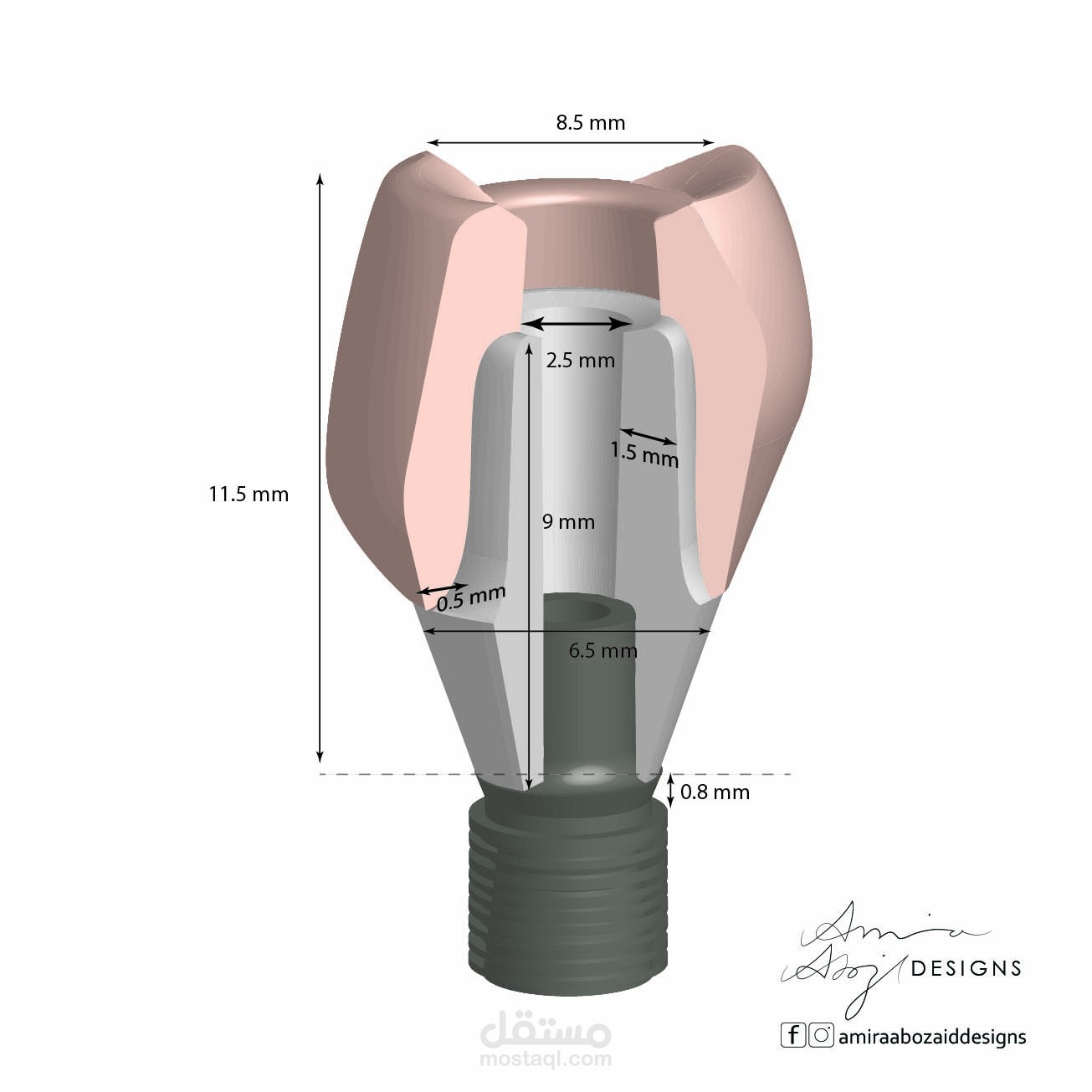 Dental scientific diagram | مستقل