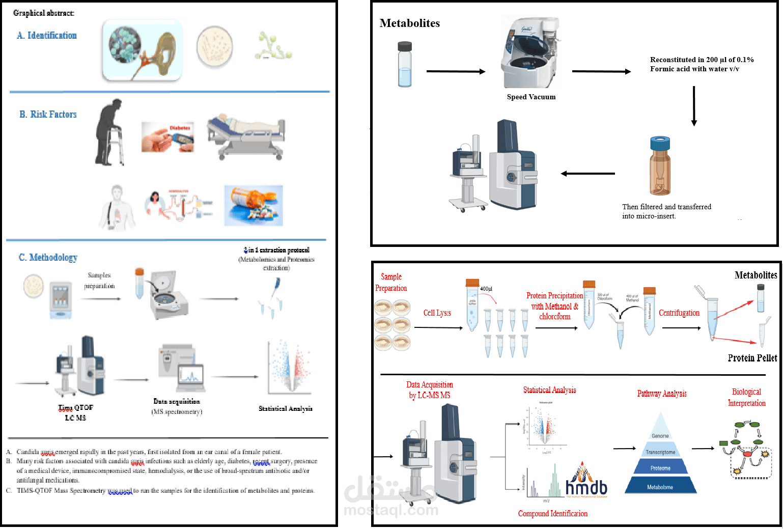 Graphical Abstract | مستقل