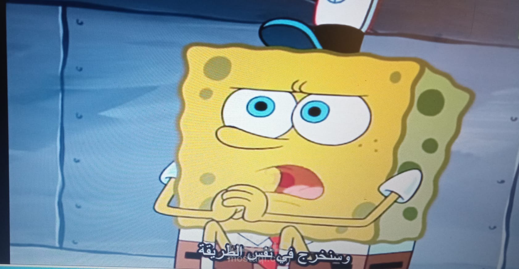 (subtitle in Arabic (SpongeBob | مستقل