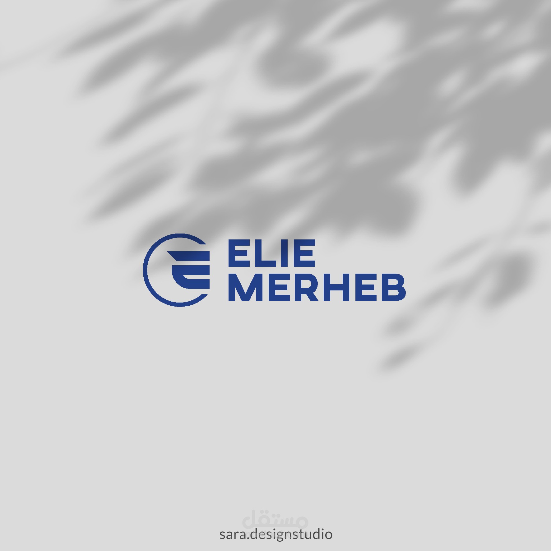 Elie Merheb - Insurance Executive | مستقل