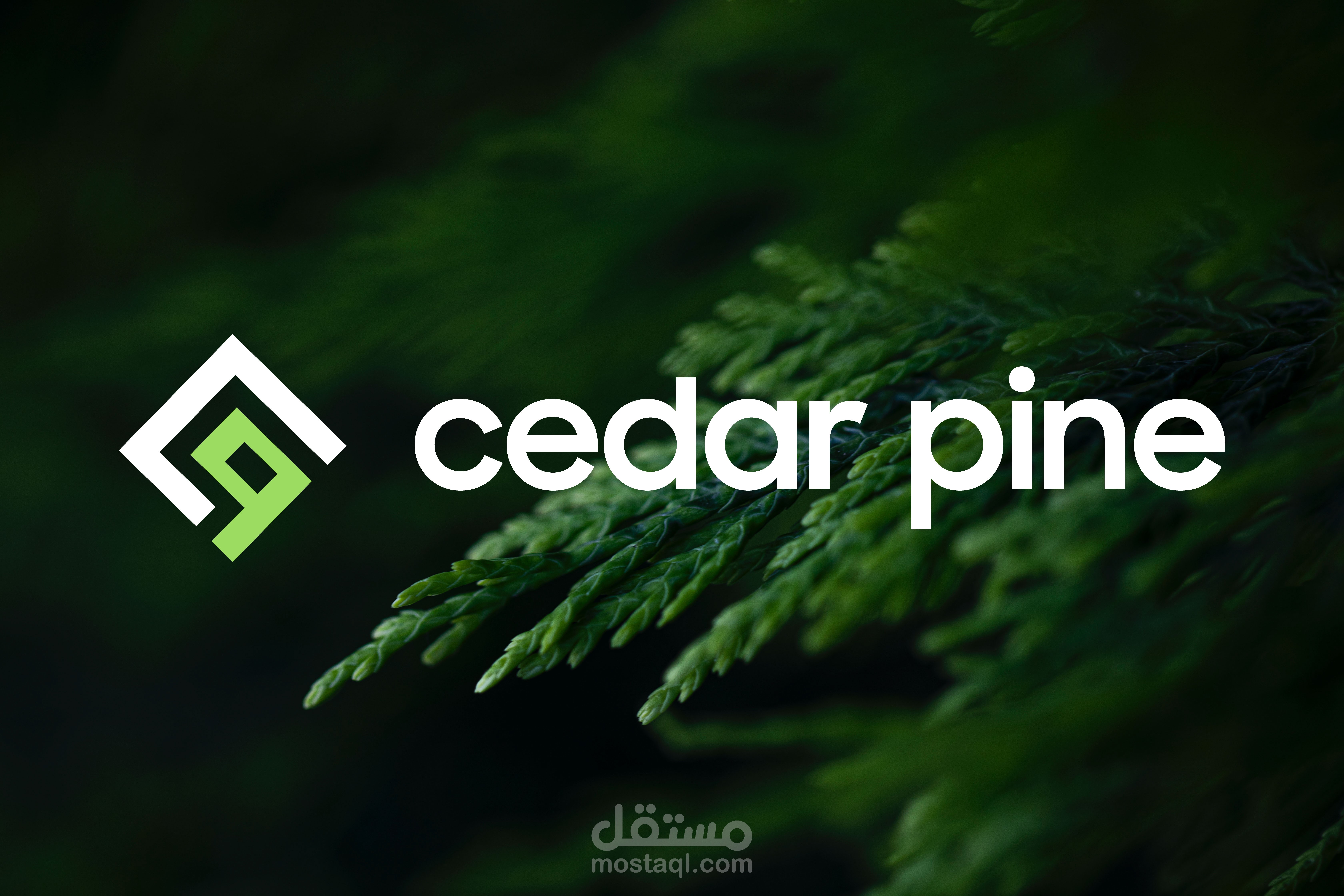 cedar pine | مستقل