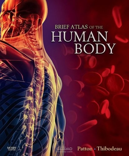 Anatomy Courses Anatomy Courses