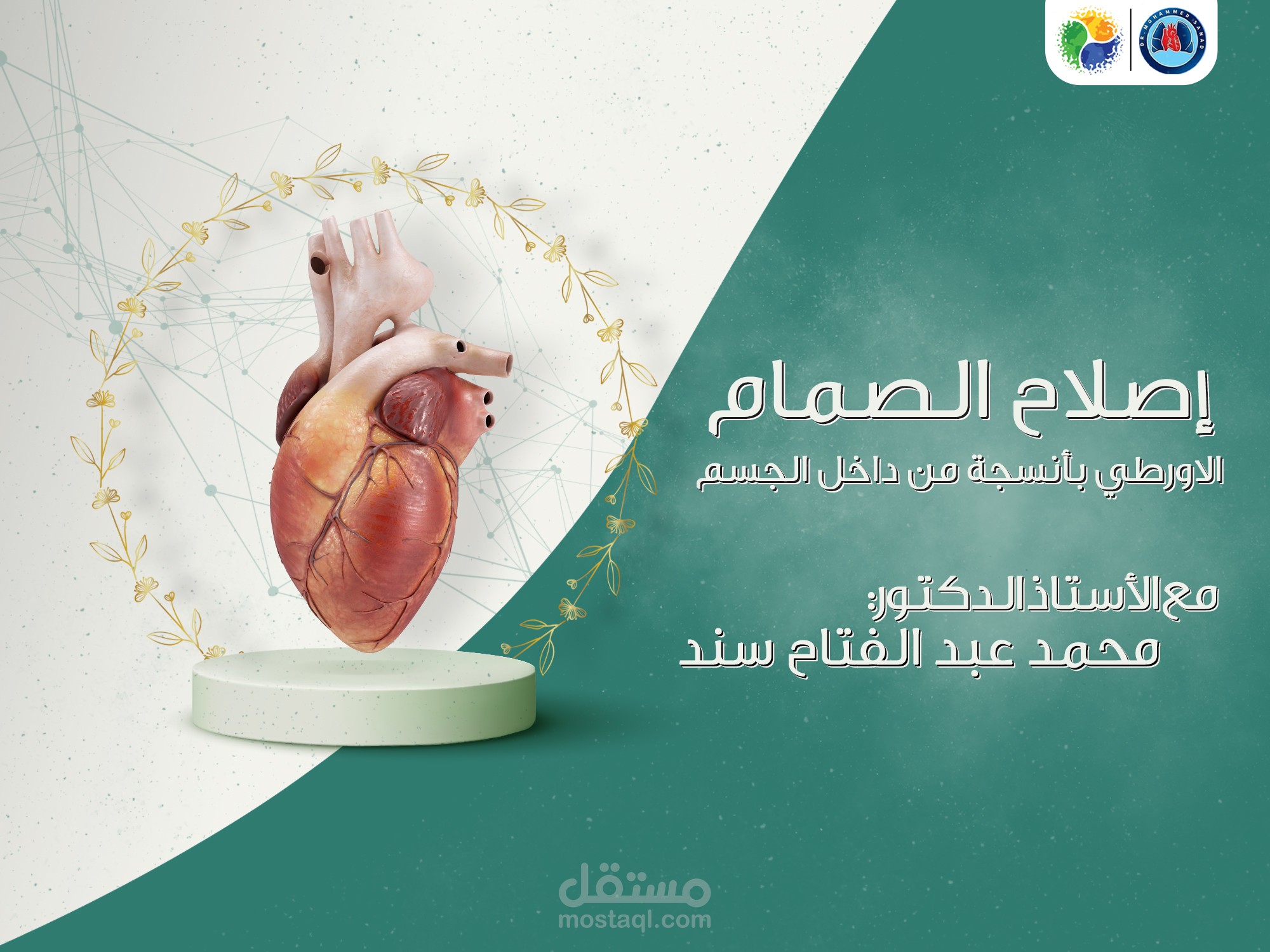 DR. Mohamed sanad designs | مستقل