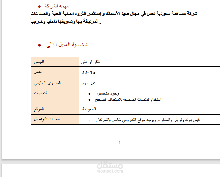 Social Media Strategy Plan | مستقل Social Media Strategy Plan | مستقل