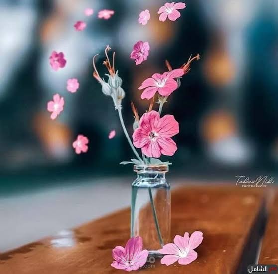 jhbggklcgnkjvb | مستقل