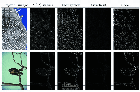 Edge Detection Based on Digital Shape Elongation Measure | مستقل