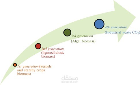 Production of Bioethanol towards 4th generation: REVIEW | مستقل