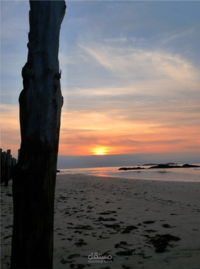 YOUTYOB | مستقل