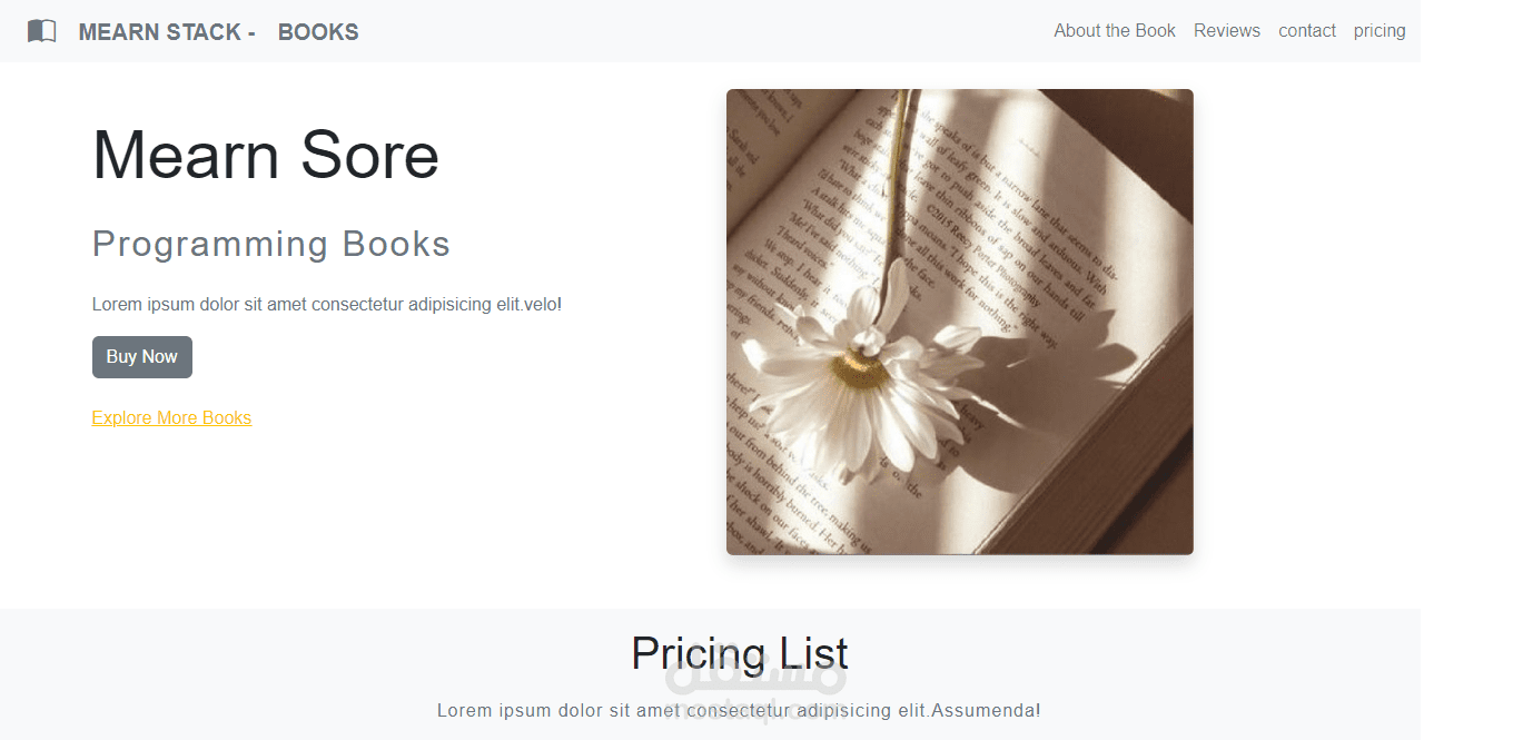 MEARN STACK_books | مستقل