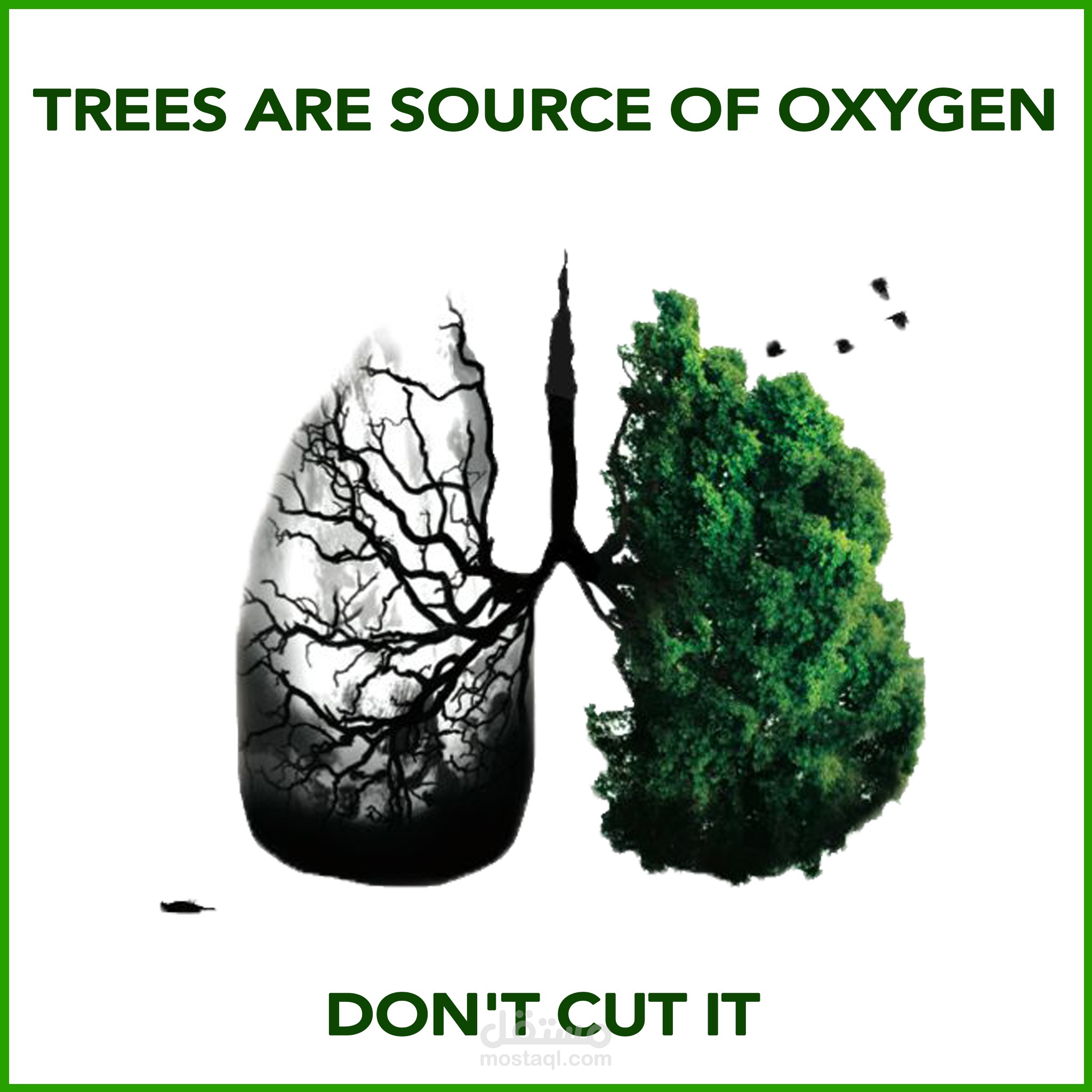 TREES ARE SOURSE OF OXYGEN | مستقل