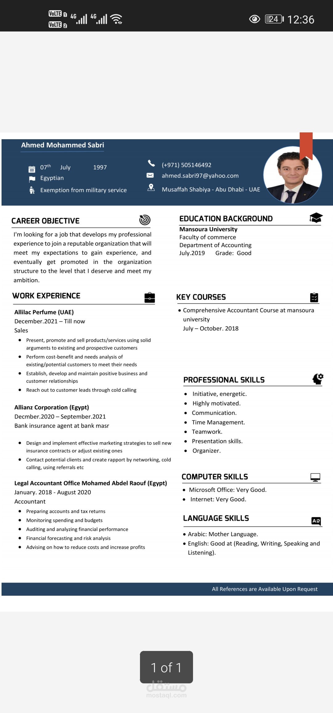 Professional CV | مستقل