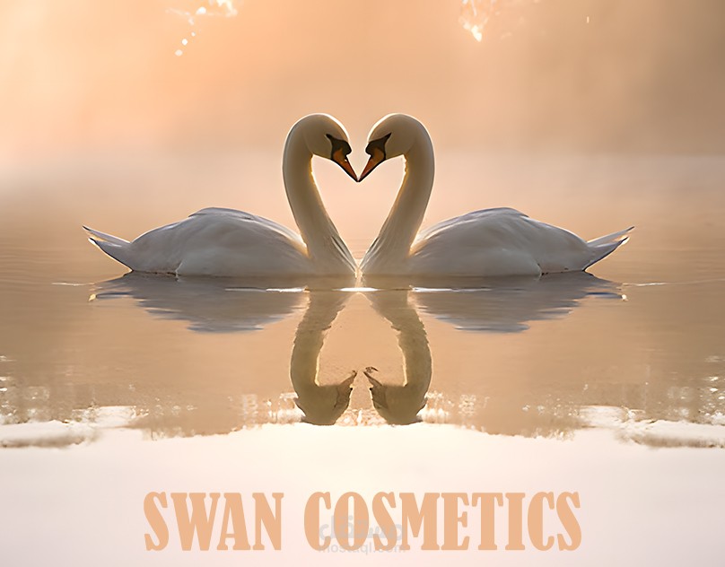 swan cosmetics shop | مستقل