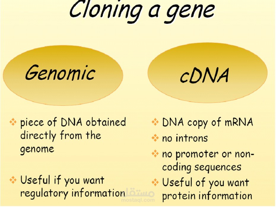 CLONING | مستقل