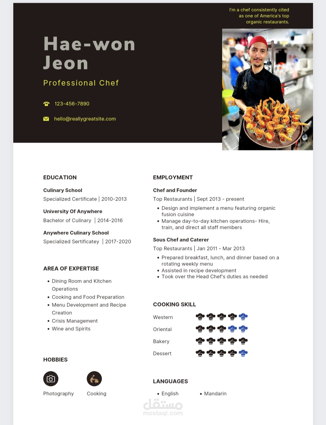 تصميم cvعلى شكل ملف pdf | مستقل