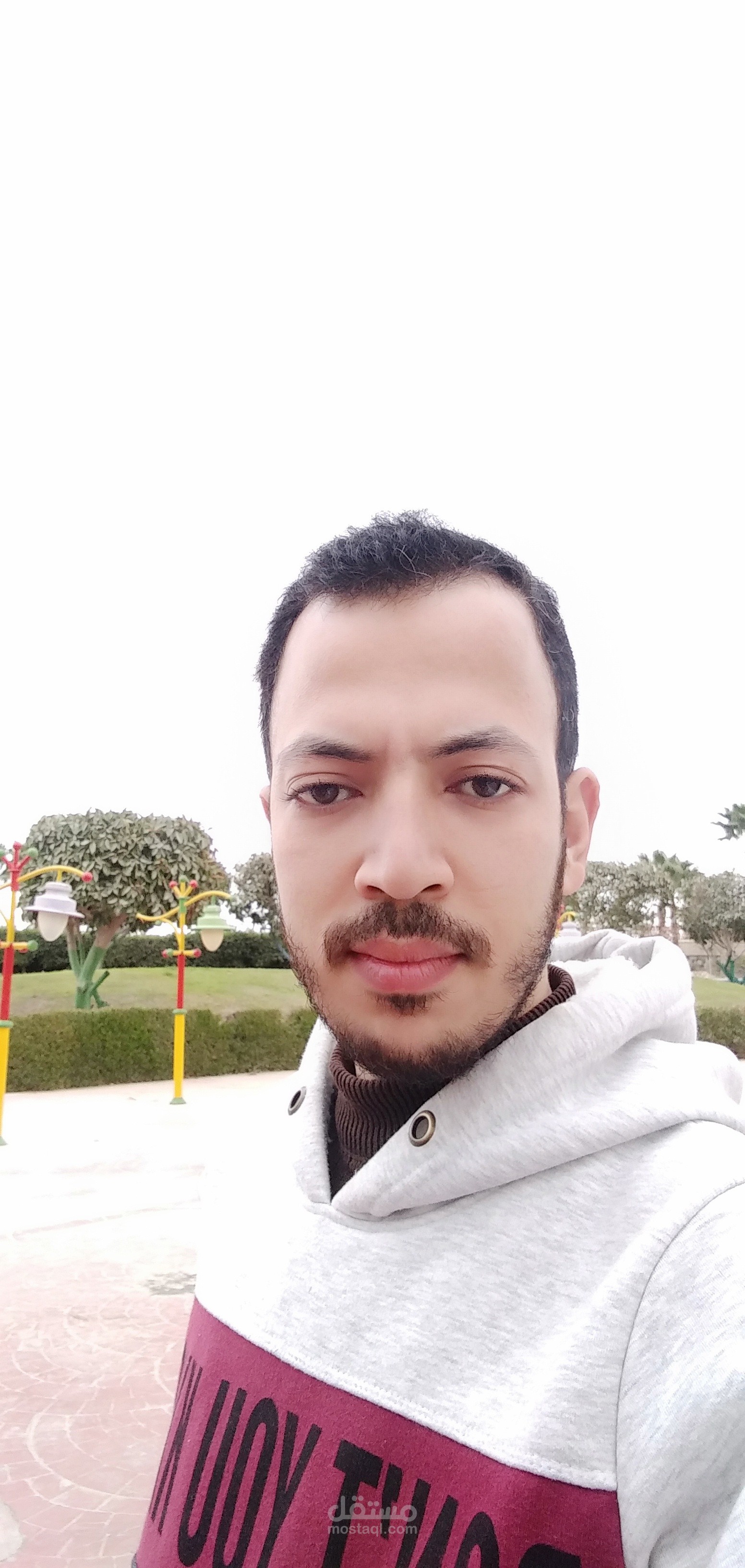 تعليم اللغة العربية مستقل