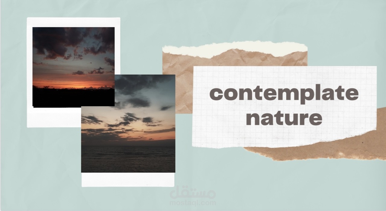 contemplate nature | مستقل
