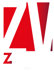 z vision audiovisual | مستقل