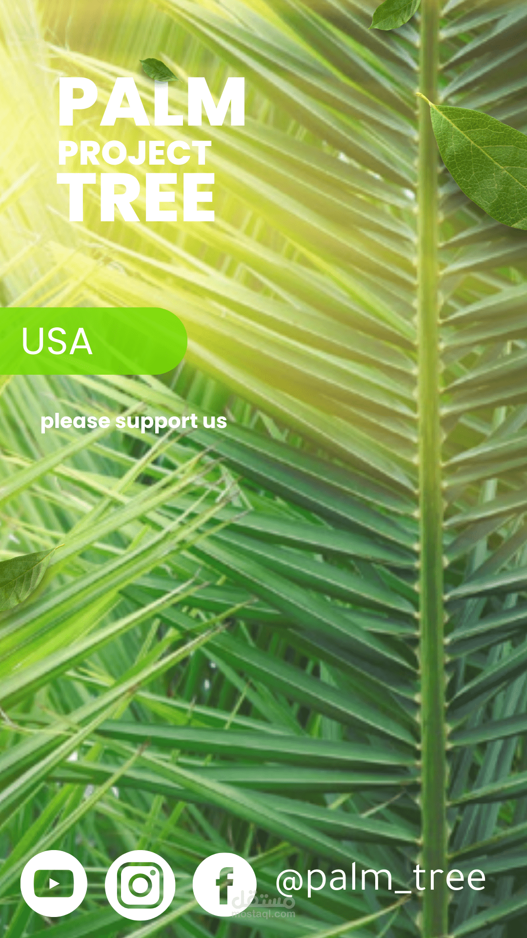 Palm Store poster | مستقل